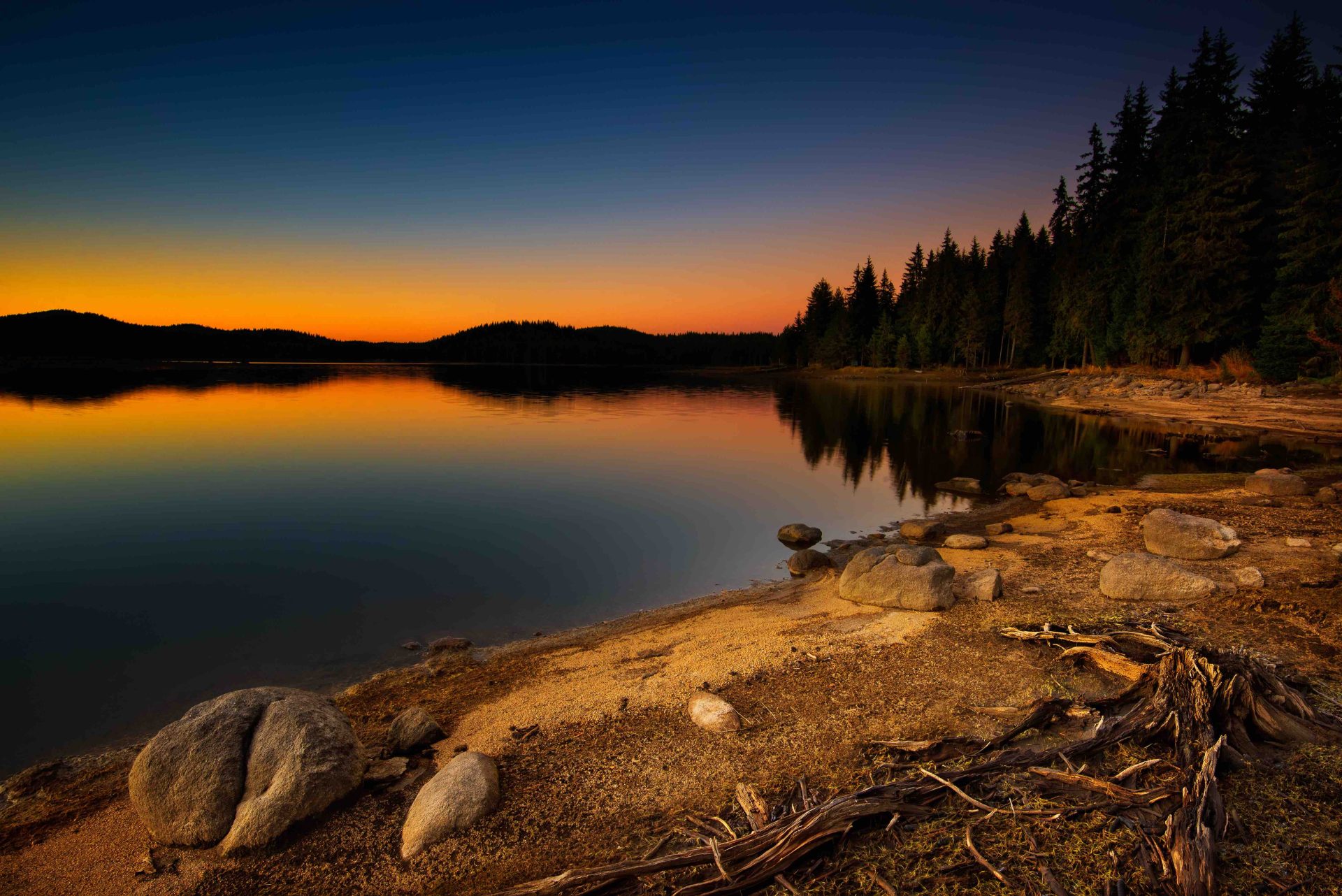 About Us | Vocational Services | Western Canadian Vocational Experts ...